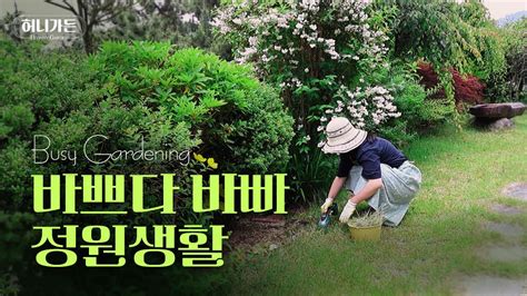 바쁘다 바빠 정원생활 꽃피우고 열매 맺는 정원노동자 오랜만에 놀러온 귀요미 아들 자동급수기 설치 Youtube