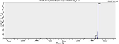 Oligonucleotide Sequence Confirmation Novatia Llc Oligonucleotide Sequence Confirmation Novatia Llc