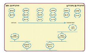 Configured Tunneling In IPv6 Transition Download Scientific Diagram