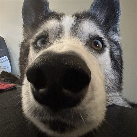 Christopher Miles Youtube