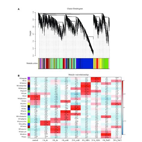 Co Expression Network Generation On Isoform Level By Wgcna A