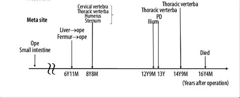 Treatment Course R Radiation I Imantinib S Sunitinib Gist