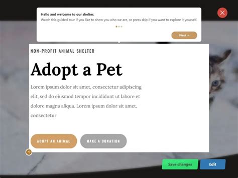 Best Free Step By Step Guided Tour Plugins For WordPress WP Missing