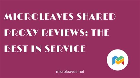 Microleaves Shared Proxy Reviews The Best In Service Microleaves
