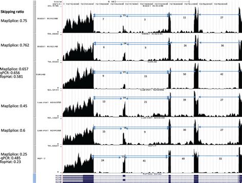 Examples Of Alternative Exon Skipping Events The Second Exon In NUMB