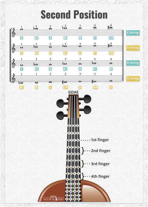 Violin String Identifier At Tammy Mann Blog