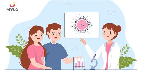 Types Of Ivf Their Benefits And Side Effects Everything You Need To