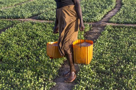 Exploring The Gender Data Gap Sei