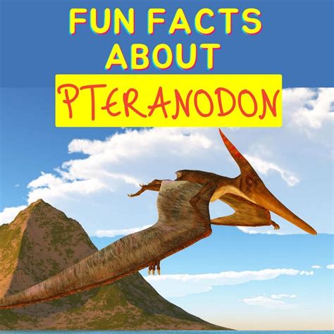 Fun Facts About Pteranodon Dinosaur Facts