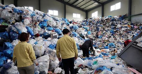 분리수거한 재활용품 점검