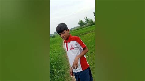 Field View Youtube