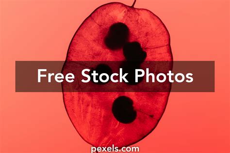 Uterus With Fibroid Types Photos Download The Best Free Uterus With