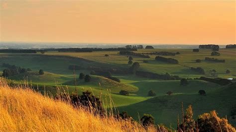 Rural Health Consumer Panel Research Violet Vines Marshman Centre For Rural Health Research