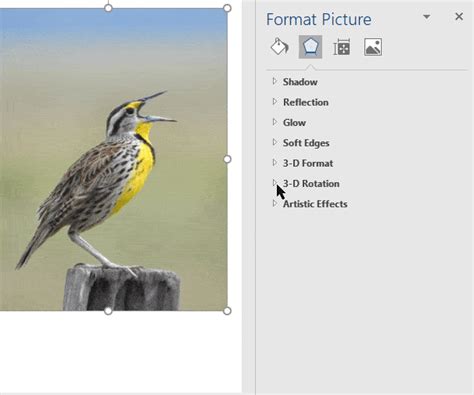 How To Mirror Flip An Image In Microsoft Word