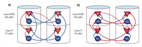 Explicit Microcircuit Structure Ab Two Examples Of Complete
