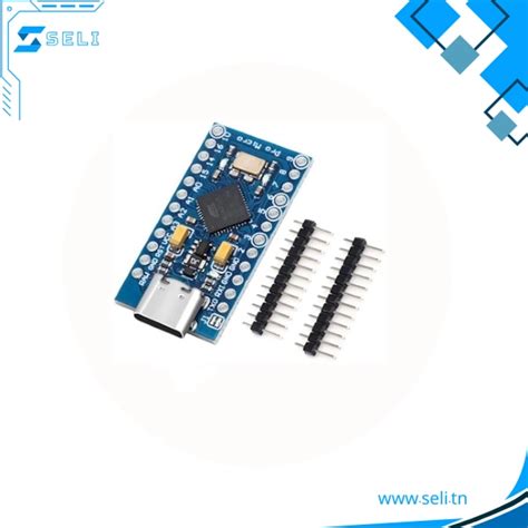 Arduino Pro Micro Seli