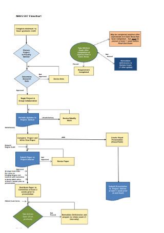 Sample Project Flow Charts In Pdf Ms Word