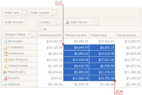 Selecting Data Cells Winforms Controls Devexpress Documentation