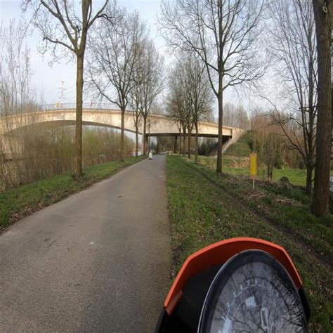 Tree Detection 2 Object Detection Dataset By Tree Detection Deel 1