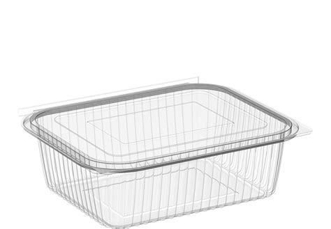 Hinged Plastic Containers New Gen Ng 081 8 Hinged Container Case