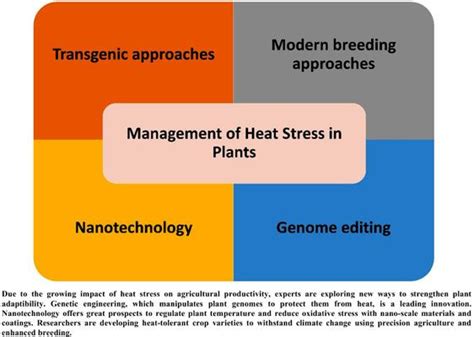 Editors Choice Review Plant Adaptation And Tolerance Combinatorial Chemistry And High