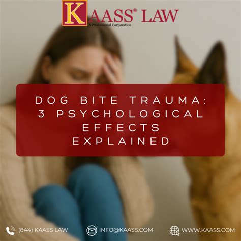 Dog Bite Trauma 3 Psychological Effects Explained Kaass Law