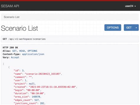 Web Api And Rest Clients Sesam Documentation