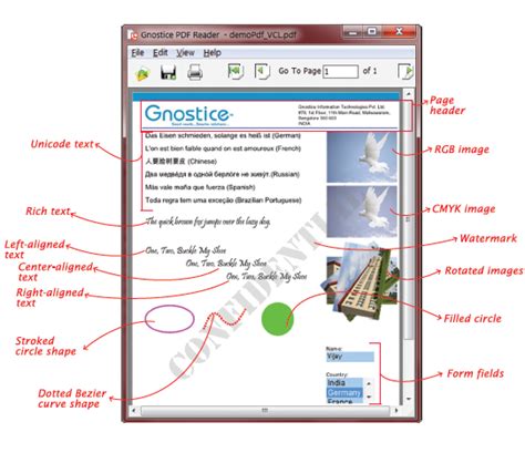 Introduction To Pdftoolkit Vcl