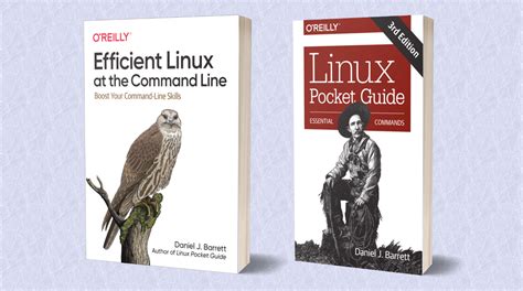 About Daniel J Barrett