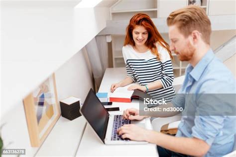 프로젝트에 흰색 사무실에서 함께 일 하는 아름 다운 동료 사무실에 대한 스톡 사진 및 기타 이미지 사무실 하버드 대학교 개념과 주제 Istock