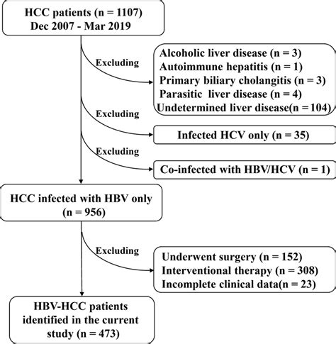 Hbv‐hcc Patients Selection Procedures Download Scientific Diagram