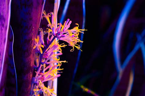 Abortstop Running Process In Outsystems By Jerome Rajadurai J Medium