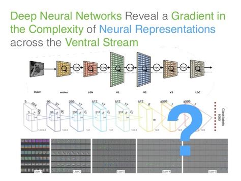 article overview deep neural networks reveal a gradient in the compl…