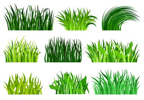 Decorative Grass Stock Illustrations 173333 Decorative Grass Stock