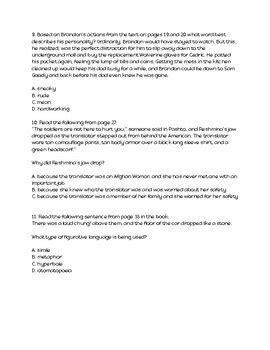 Ground Zero Multiple Choice Comprehension Tests By Tricia Prevette