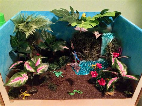 Examples Of A Ecosystem Project 23 Ecosystem Project Ideas