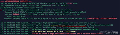 nginx 安装 headers more nginx module 扩展，隐藏服务信息java全栈工程师 从ja 掘金