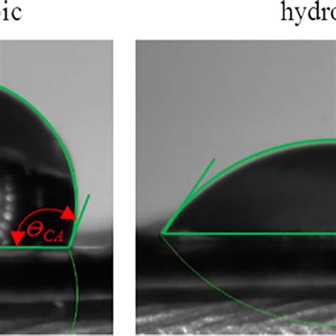 Representative Images Showing The Lbadsa Plugin On Imagej Measuring