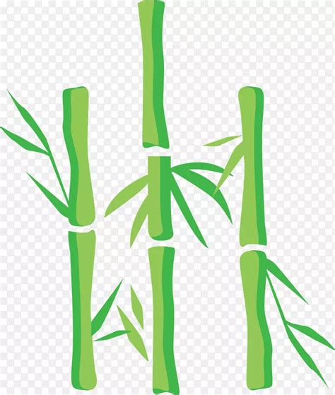 卡通竹子png下载png图片素材下载图片编号7565267 Png素材网 卡通竹子png下载png图片素材下载图片编号7565267 Png素材网