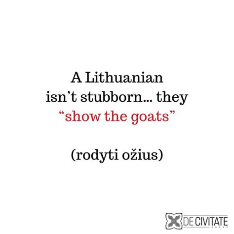 26 Lithuanian Expressions That Sound Absolutely Hilarious When