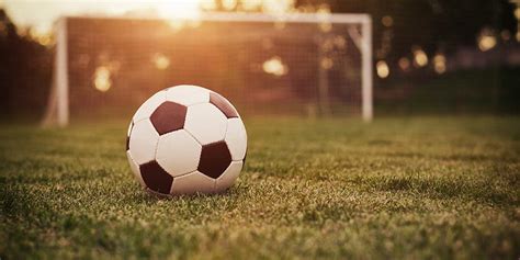 Introduction Implementation And Comparison Of Four Randomized Optimization Algorithms By Nini