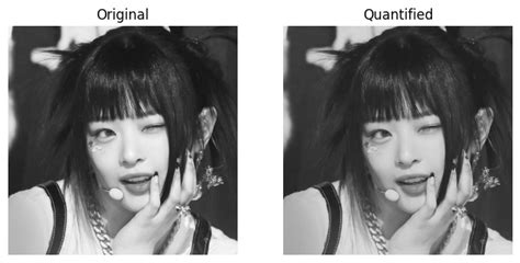 Understanding Dct And Quantization In Jpeg Compression Dev Community
