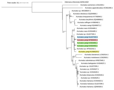 The Bayesian Inference Tree Inferred From The Combined Dataset Of