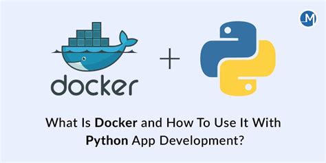 nirav raval on linkedin python docker pythondevelopment