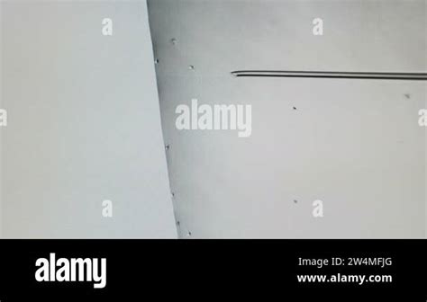 Intracytoplasmic Sperm Injection Procedure Shot By Camera From Microscope Lens Catching