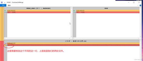 2024年，一文教你简单使用git图形化工具tortoisegit和github的版本控制 csdn博客