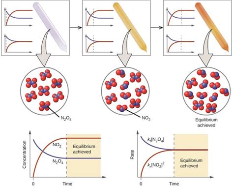 Particulate Diagram