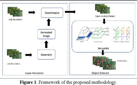 Figure From Individual Tree Crown Detection Using GAN And RetinaNet On Tropical Forest