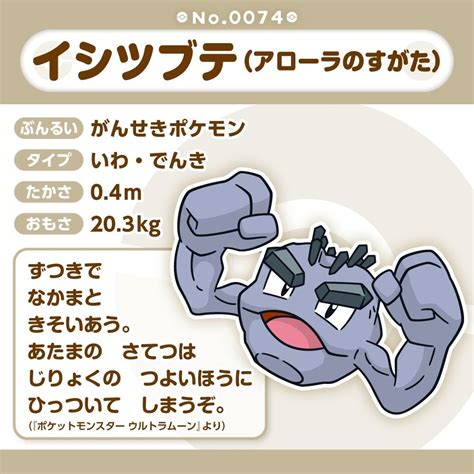 Pokémon Pokémon Fit 74 Alolan Geodude The Pokémon Company Nin