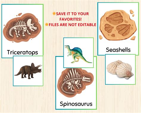 Fossil Identification Card Dinosaur Fossil Prehistoric Fossils Fossil Matching Dinosaurs